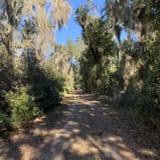 Cannon’s Point Preserve, Georgia - 126 Reviews, Map | AllTrails