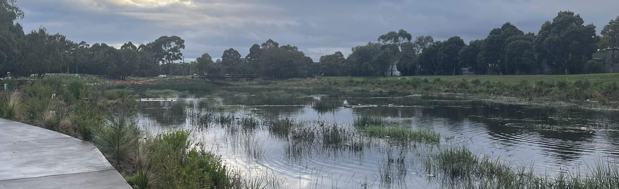 Tarralla Creek Trail, Victoria, Australia - 44 Reviews, Map | AllTrails