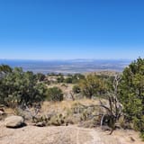 Tanque Verde Peak via Tanque Verde Ridge Trail, Arizona - 352 Reviews ...