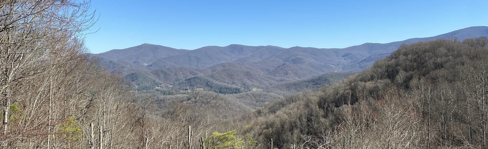 AllTrails | Chestnut Ridge Trail: 40 Reviews, Map - Tennessee