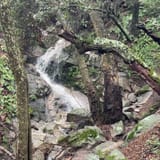 Tenaja Canyon via Tenaja Trail, California - 181 Reviews, Map | AllTrails