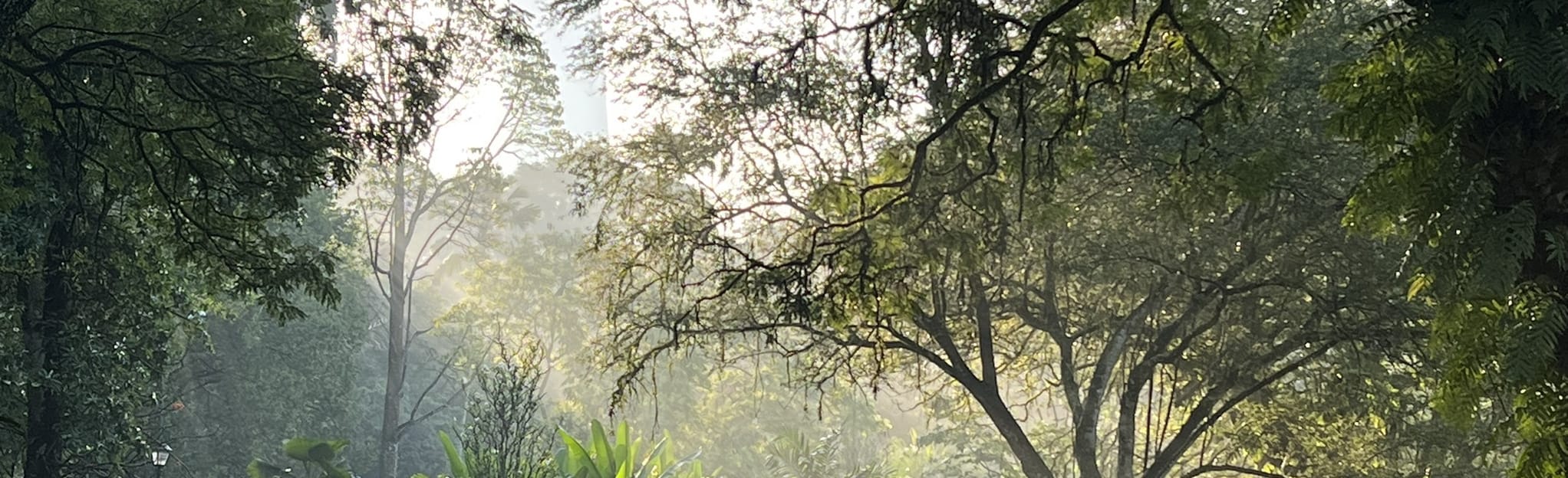 Perdana Canopy - Deer Park, Kuala Lumpur, Malaysia - 27 Reviews, Map ...