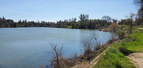 Best Hikes and Trails in William Pond Recreation Area | AllTrails