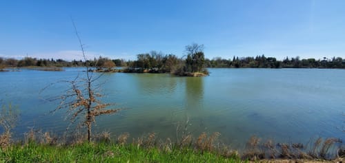 Best Hikes and Trails in William Pond Recreation Area | AllTrails