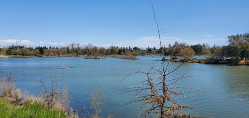 Best Hikes and Trails in William Pond Recreation Area | AllTrails