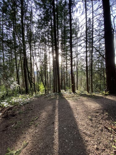 Best Hikes and Trails in Bothell | AllTrails