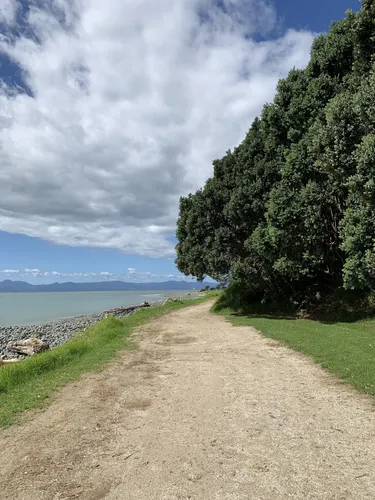 2023 Best Beach Trails in Orere Point | AllTrails