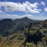 Pirongia Summit via Hihikiwi Track, Waikato, New Zealand - 21 Reviews ...