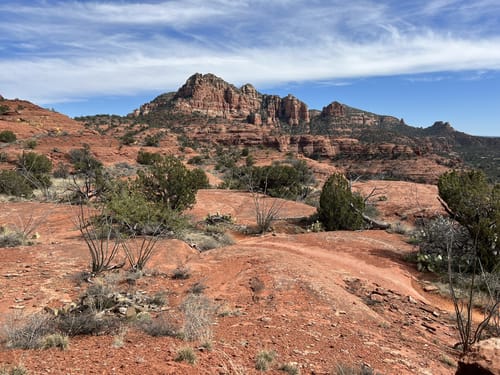 2023 Best 10 Long Trails in Coconino National Forest | AllTrails