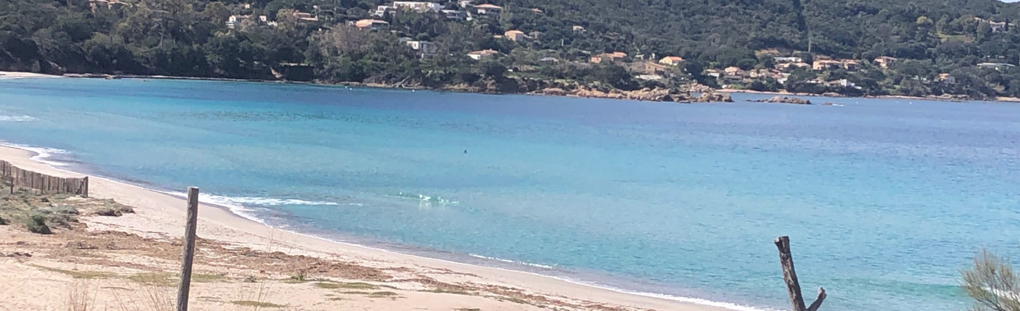 Ruppione-Strand - Chiavari-Wald - Verghia - Corse-du-Sud, France ...