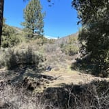 PCT: CA Section A - Campo to Warner Springs, California - 203 Reviews ...