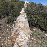 PCT: CA Section A - Campo to Warner Springs, California - 201 Reviews ...