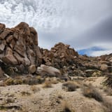 Grapevine Canyon Trail, Nevada - 485 Reviews, Map | AllTrails