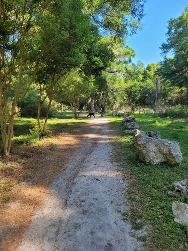 Best Hikes and Trails in Rainbow Springs State Park | AllTrails