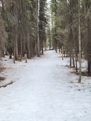 Best Hikes and Trails in Wagner Natural Area | AllTrails