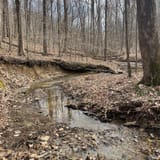 Patton Cave via Hayes and Patton Cave Trail, Indiana - 290 Reviews, Map ...