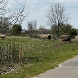 Two Rivers Park Trail, Arkansas - 738 Reviews, Map | AllTrails