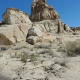Wiregrass Canyon, Utah - 159 Reviews, Map | AllTrails
