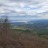 Bench Trail, Arkansas - 487 Reviews, Map | AllTrails