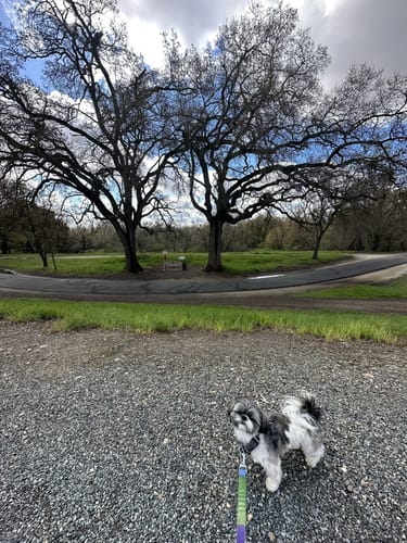 Best Hikes and Trails in William Pond Recreation Area | AllTrails