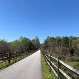 Doodle Trail, South Carolina - 580 Reviews, Map | AllTrails