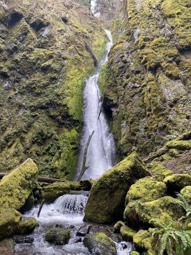 Best Hikes and Trails in Cascadia State Park | AllTrails