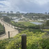 Encinitas Ranch Trail, California - 859 Reviews, Map | AllTrails