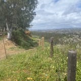 Encinitas Ranch Trail, California - 782 Reviews, Map | AllTrails