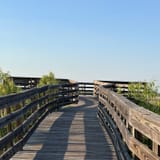 Scipio Creek Boardwalk, Florida - 37 Reviews, Map | AllTrails