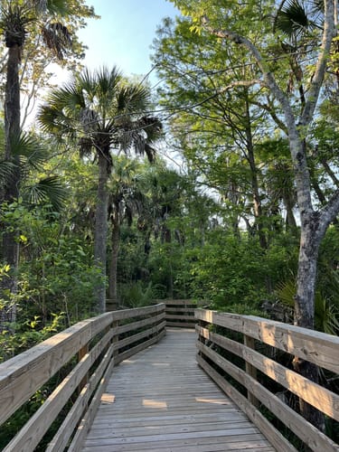 Best Hikes and Trails in Apalachicola National Estuarine Research ...