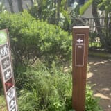 Encinitas Ranch Trail, California - 859 Reviews, Map | AllTrails