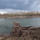 Molalla River State Park Trail, Oregon - 382 Reviews, Map | AllTrails