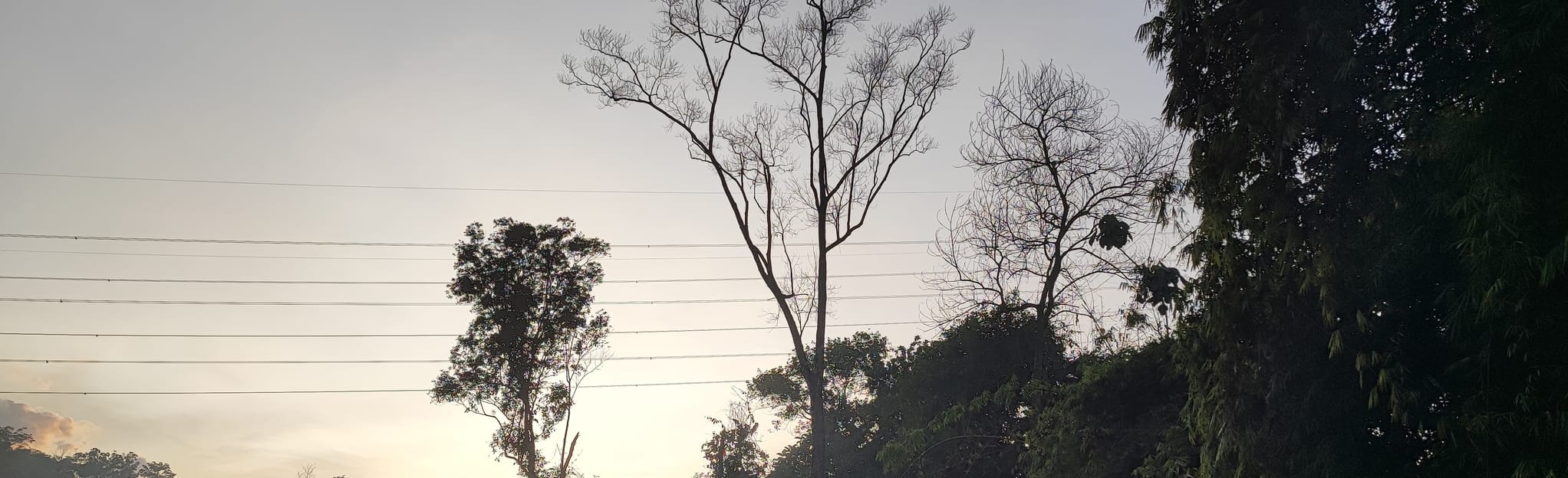 Bukit Lagong Big Loop: 1 Reviews, Map - Selangor, Malaysia | AllTrails