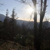 Sutton Ridge Overlook Trail, Tennessee - 495 Reviews, Map | AllTrails