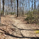 High Rocks Trail, Virginia - 483 Reviews, Map | AllTrails