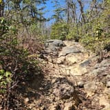 High Rocks Trail, Virginia - 483 Reviews, Map | AllTrails