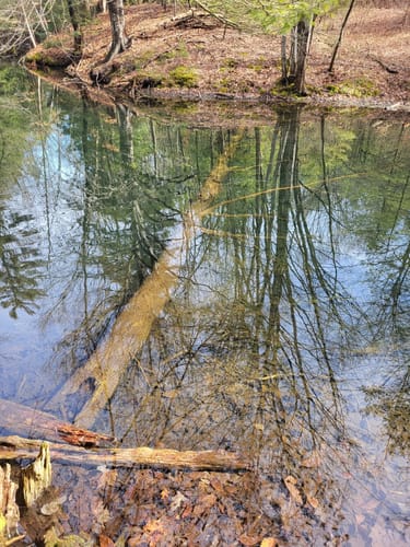 Best Hikes and Trails in Clear Springs Nature Preserve | AllTrails