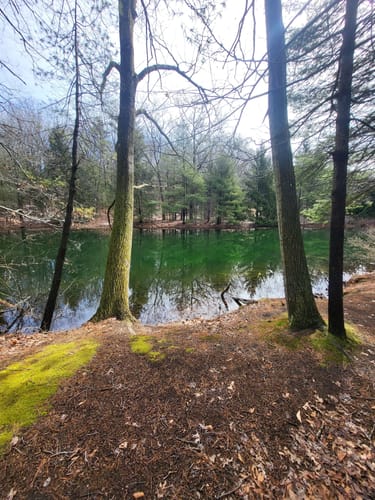 Best Hikes and Trails in Clear Springs Nature Preserve | AllTrails