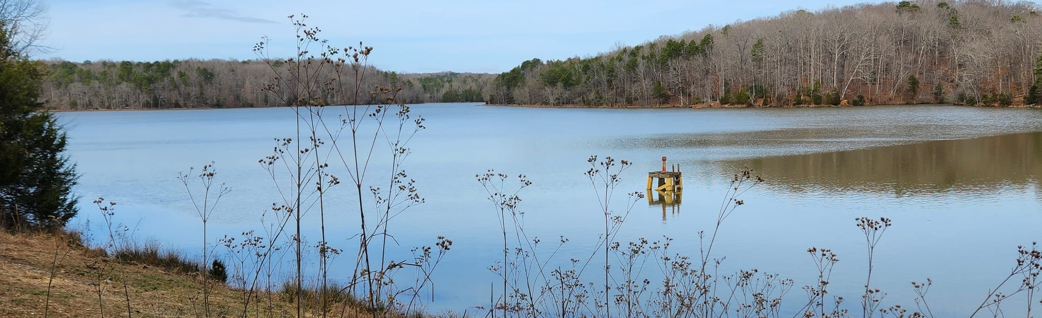 Foster Mill Loop Trail to Lake Johnson Loop: 103 Reviews, Map - South ...