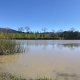 Spring Lake Loop, California - 1,408 Reviews, Map | AllTrails