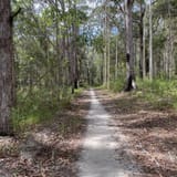 Lake Weyba Forest Loop, Queensland, Australia - 38 Reviews, Map | AllTrails