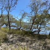 Lake Weyba Forest Loop, Queensland, Australia - 38 Reviews, Map | AllTrails