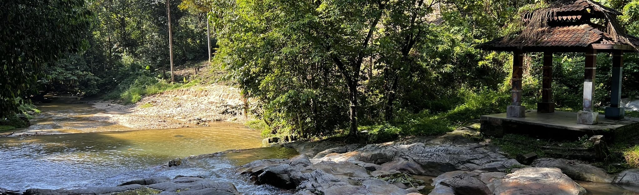 Bukit Lagong Trail: 23 Fotos - Selangor, Malaysia | AllTrails