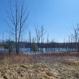 Killbuck Lake Loop, Ohio - 66 Reviews, Map | AllTrails
