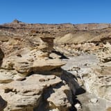 Wiregrass Canyon, Utah - 159 Reviews, Map | AllTrails