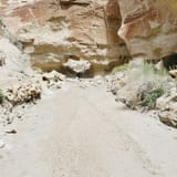 Wiregrass Canyon, Utah - 159 Reviews, Map | AllTrails