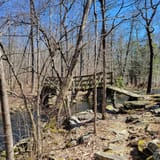 Thunder Swamp Short Loop, Pennsylvania - 83 Reviews, Map | AllTrails