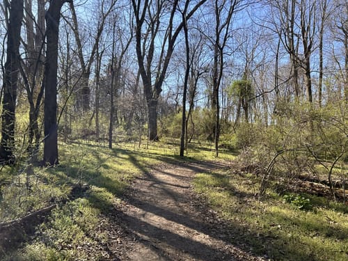 Best Hikes and Trails in Bohemia River State Park | AllTrails