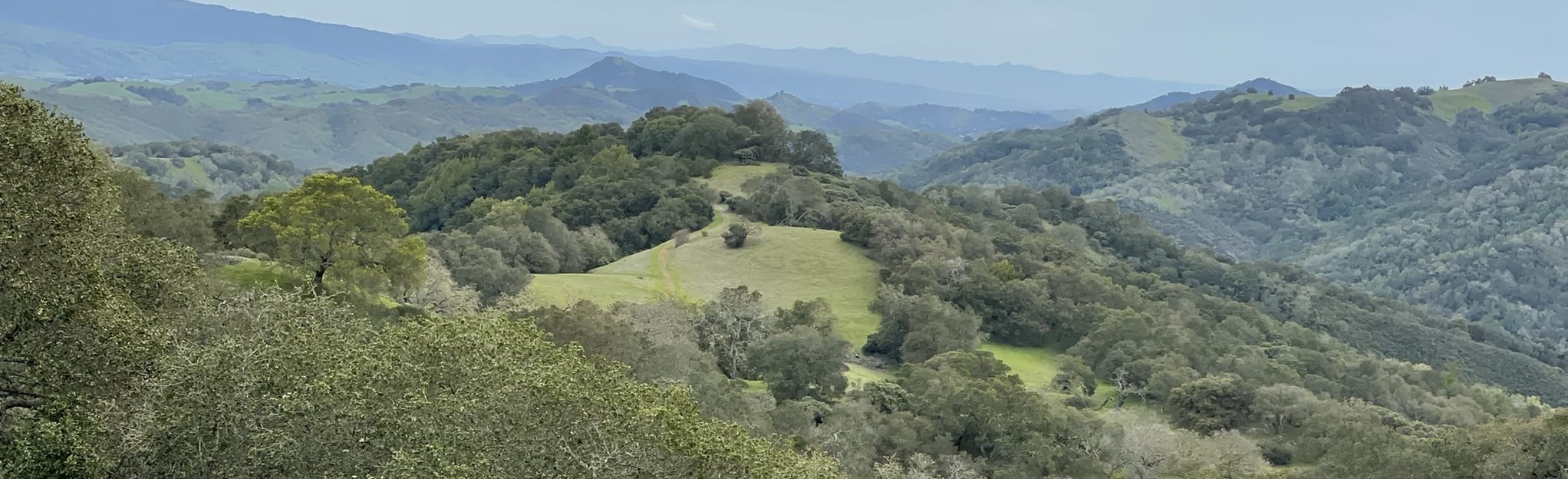 Bald Peaks Trail to Serpentine Loop: 1.126 foto - California | AllTrails