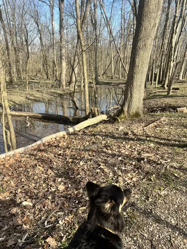 Best Hikes and Trails in Paul Ruster Park | AllTrails